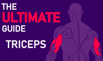 The Ultimate Guide to Building Bigger Triceps - House of Hypertrophy