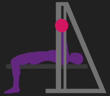 Smith Machine vs Barbell Bench Press for Hypertrophy and Strength ...