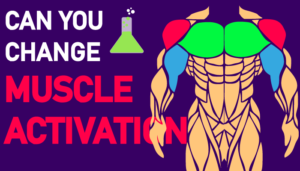 Can You Change Muscle Activation With Compound Exercises? - House of ...