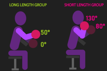 Triple Hypertrophy by Training at Long Versus Short Muscle Lengths ...
