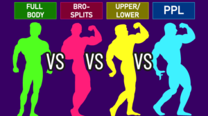 What Is the Best Training Split for Muscle Hypertrophy? - House of ...