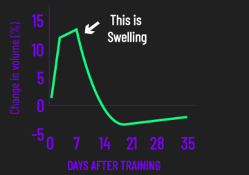 Do Microtears in the Muscle Cause Growth? Science Analysis - House of ...