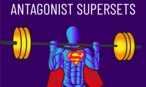 Can Antagonist Supersets or Stretching Benefit Weight Lifting ...